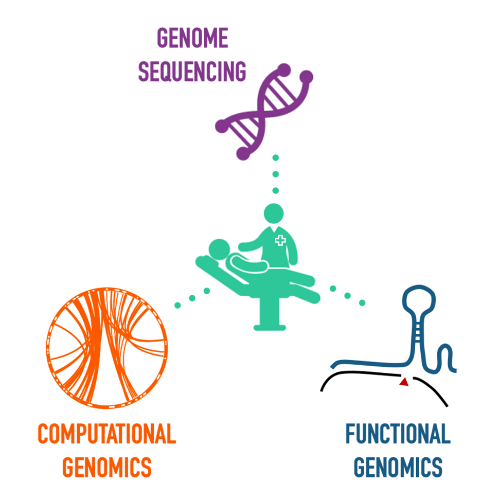 About The Center For Cancer Genomics Nci